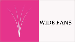 Wide Fans VS Narrow Fans: What Are Differences Between Them?